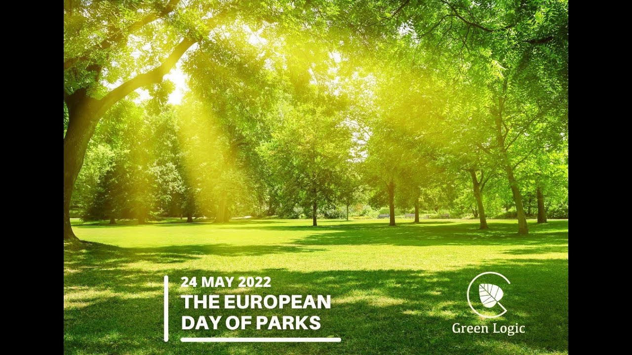 Green Logic - Piantagioni di Paulownia | Investimenti Sostenibili