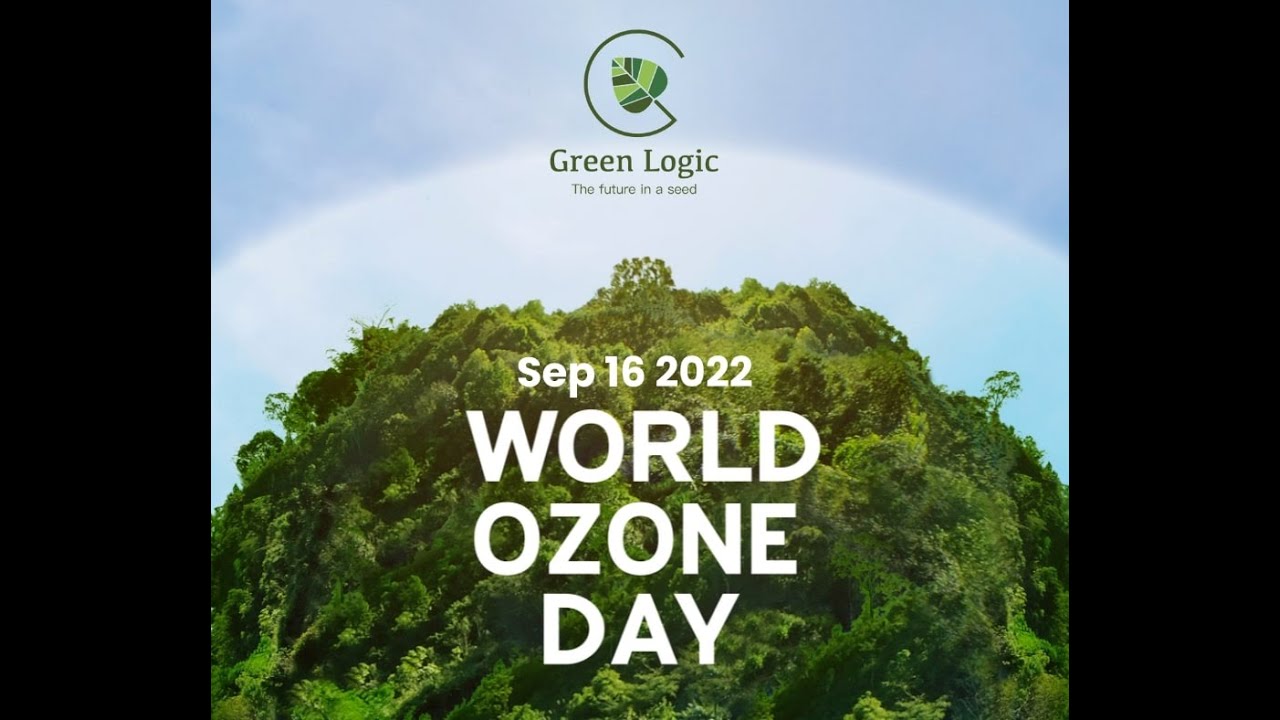 Green Logic - Piantagioni di Paulownia | Investimenti Sostenibili